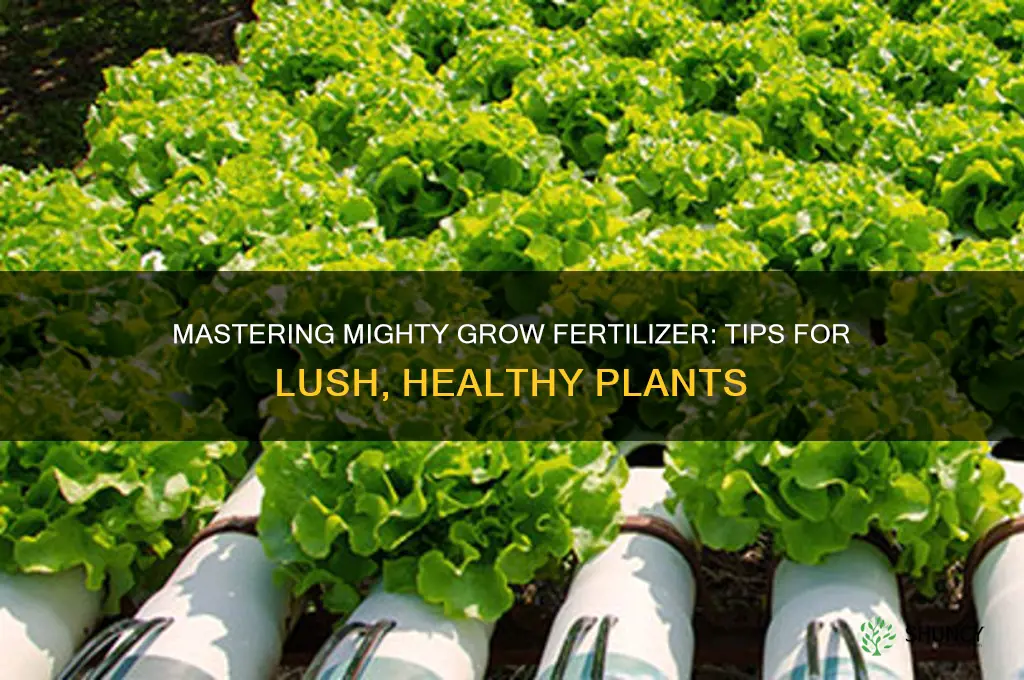 Mastering Mighty Grow Fertilizer: Tips For Lush, Healthy Plants | ShunCy