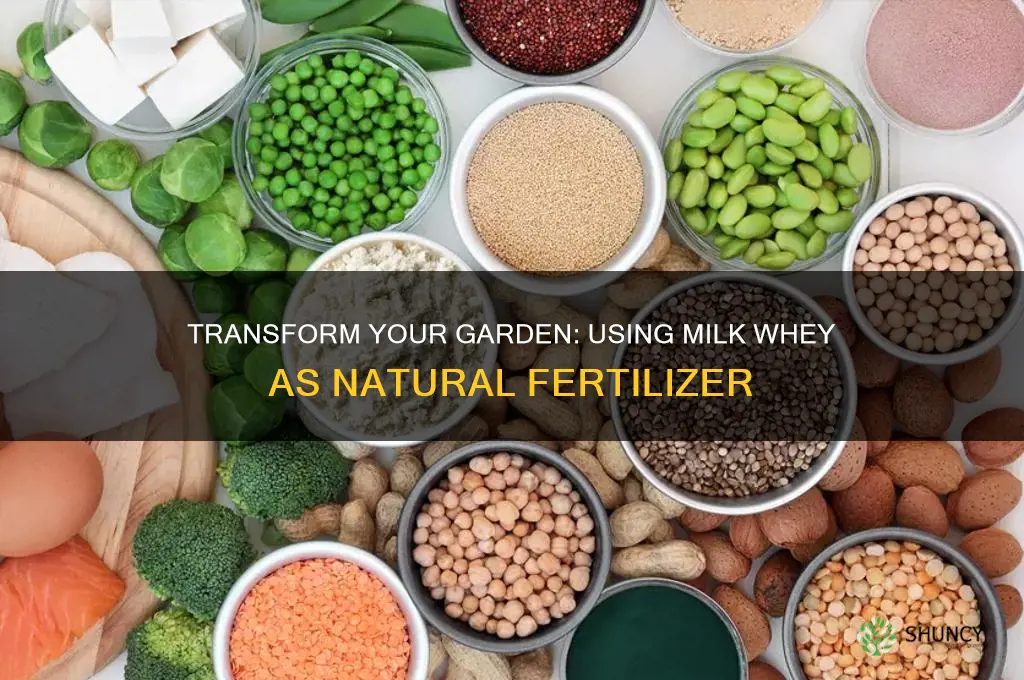 Transform Your Garden: Using Milk Whey As Natural Fertilizer | ShunCy