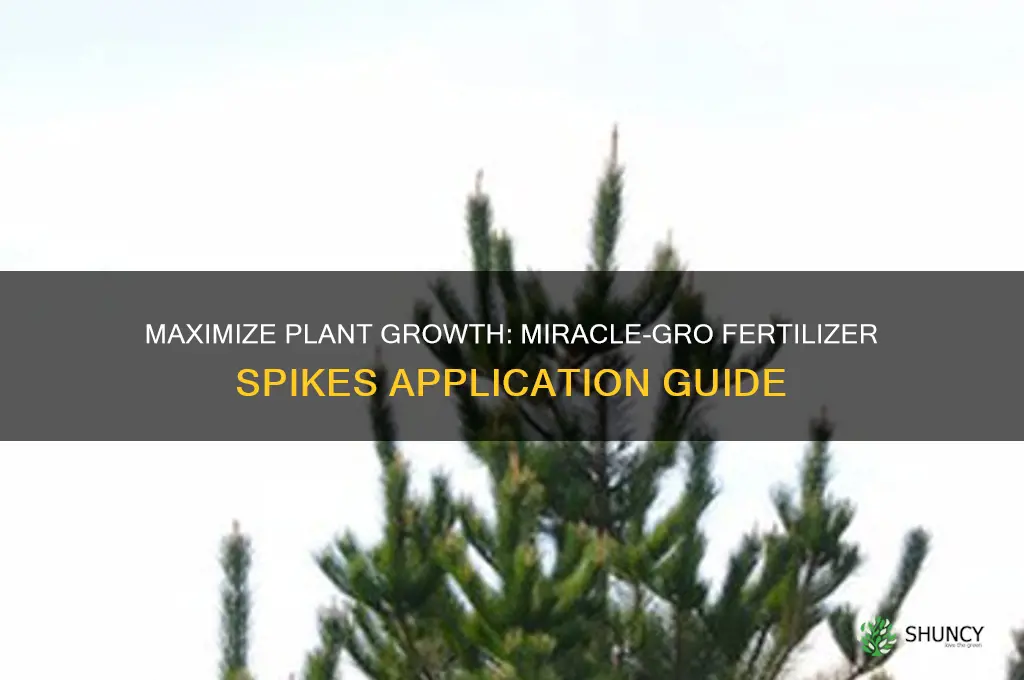 Maximize Plant Growth: Miracle-Gro Fertilizer Spikes Application Guide ...