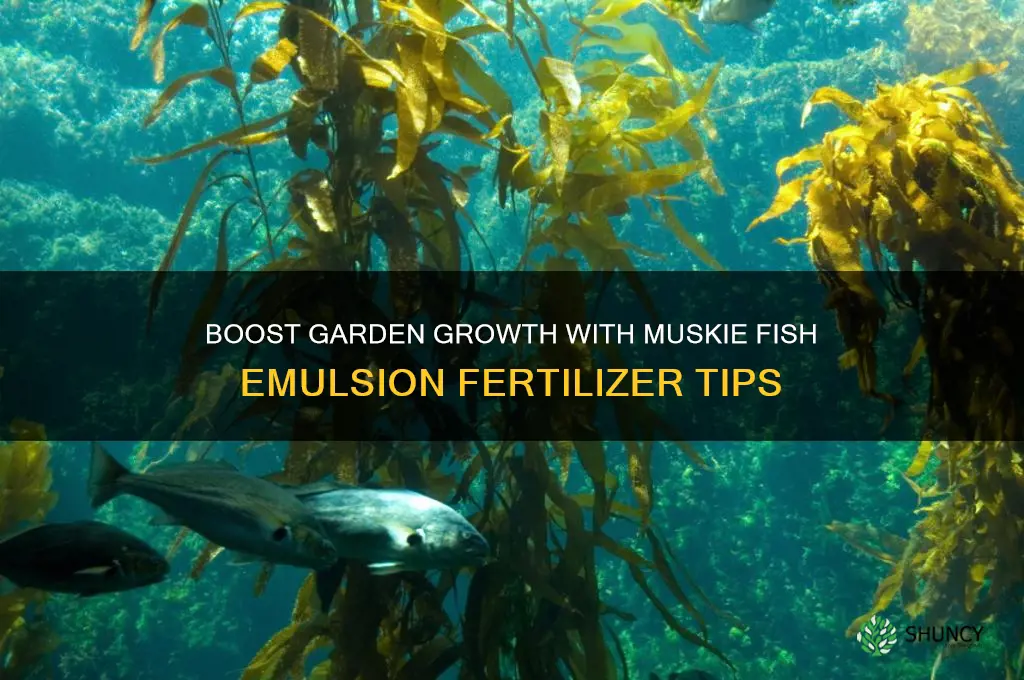 Boost Garden Growth With Muskie Fish Emulsion Fertilizer Tips | ShunCy