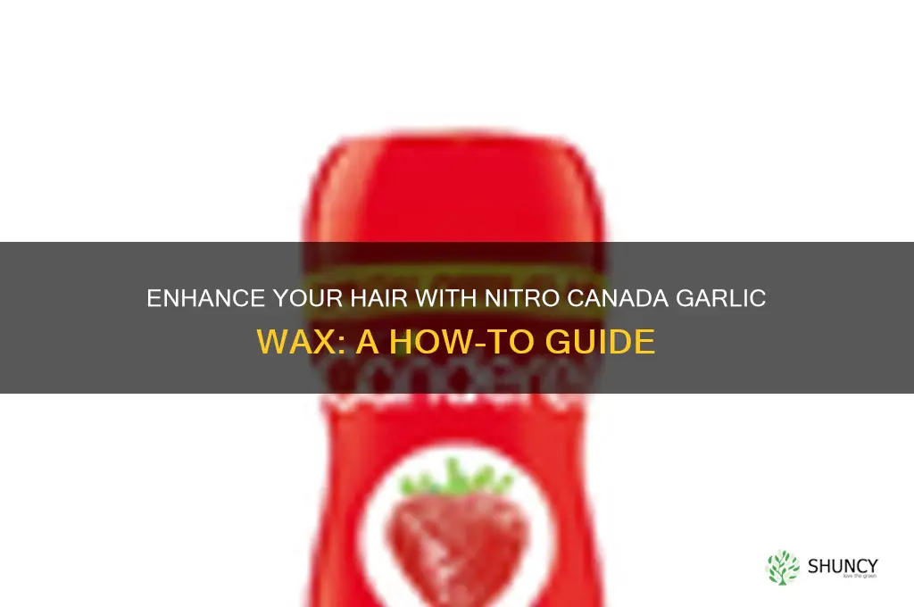 Enhance Your Hair With Nitro Canada Garlic Wax: A How-To Guide | ShunCy