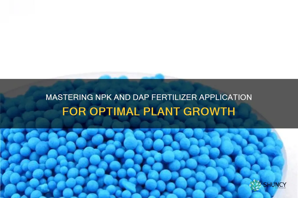 Mastering Npk And Dap Fertilizer Application For Optimal Plant Growth ...
