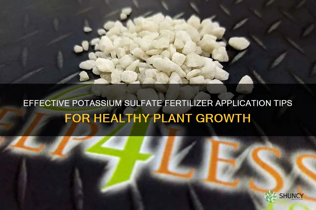 Effective Potassium Sulfate Fertilizer Application Tips For Healthy ...