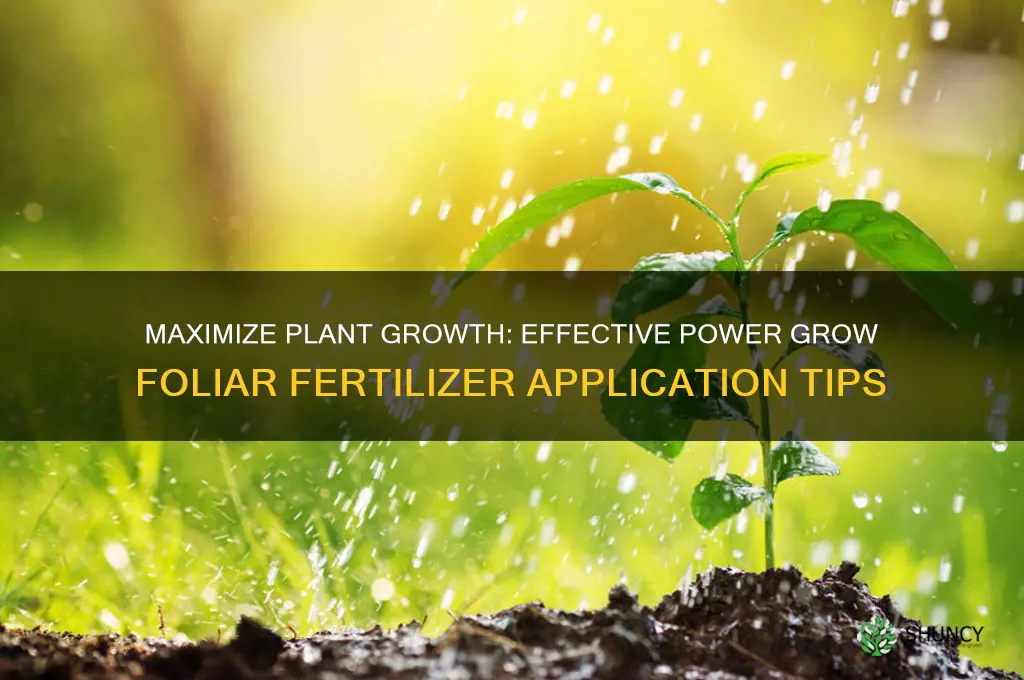 Maximize Plant Growth: Effective Power Grow Foliar Fertilizer ...