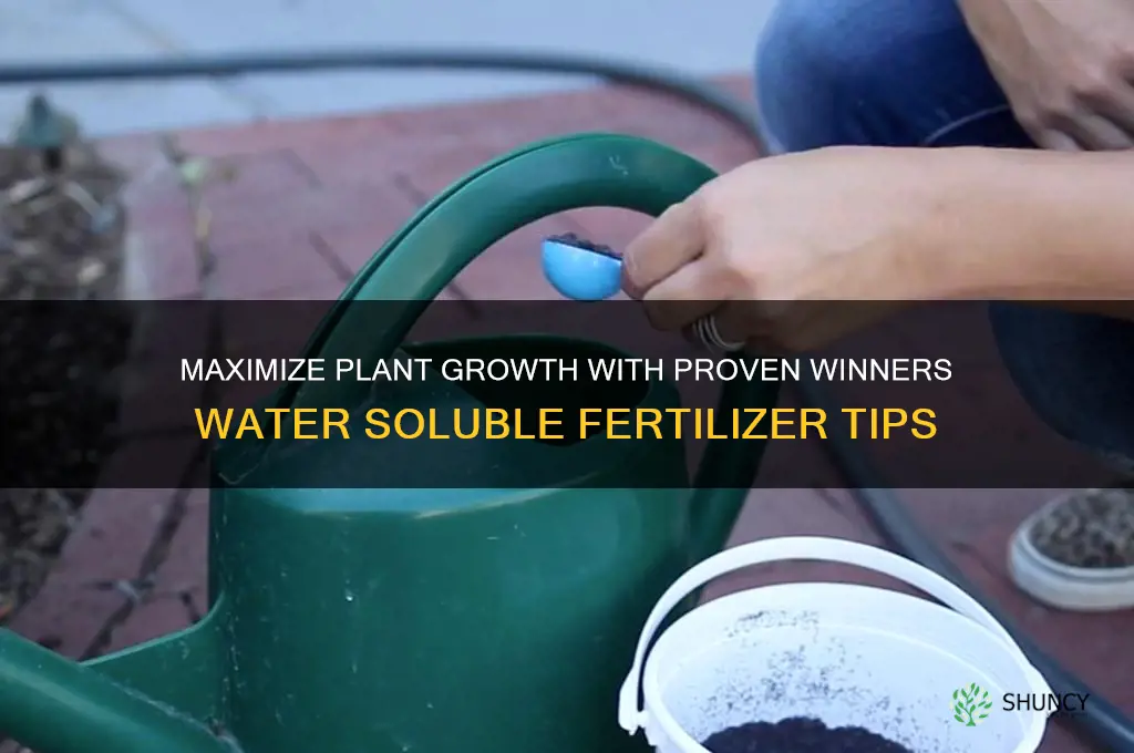 Maximize Plant Growth With Proven Winners Water Soluble Fertilizer Tips ...