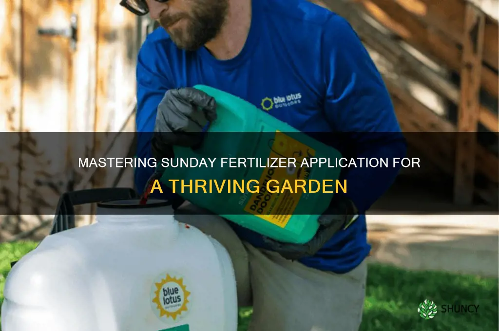 Mastering Sunday Fertilizer Application For A Thriving Garden | ShunCy