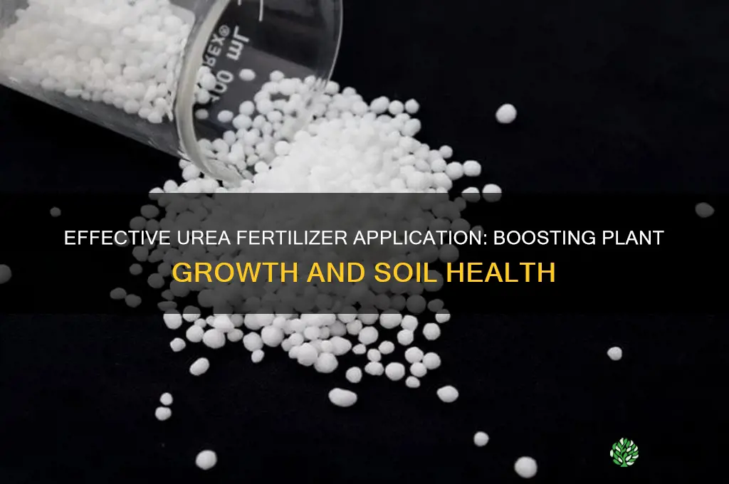 Effective Urea Fertilizer Application: Boosting Plant Growth And Soil ...
