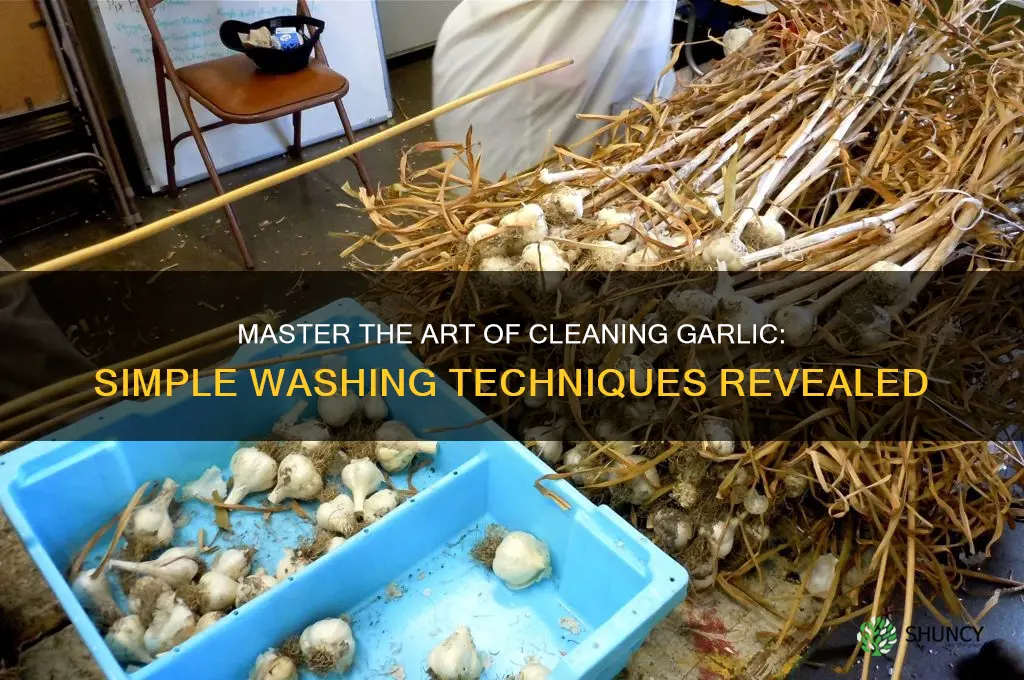Master The Art Of Cleaning Garlic: Simple Washing Techniques Revealed ...