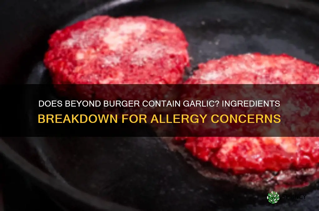 Does Beyond Burger Contain Garlic? Ingredients Breakdown For Allergy ...