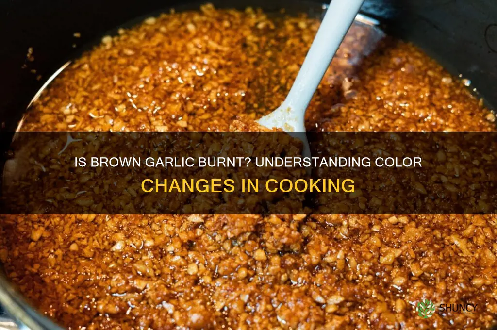 Is Brown Garlic Burnt? Understanding Color Changes In Cooking | ShunCy