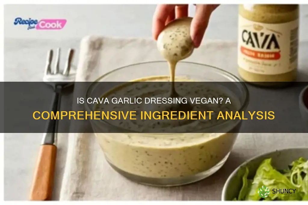Is Cava Garlic Dressing Vegan? A Comprehensive Ingredient Analysis | ShunCy