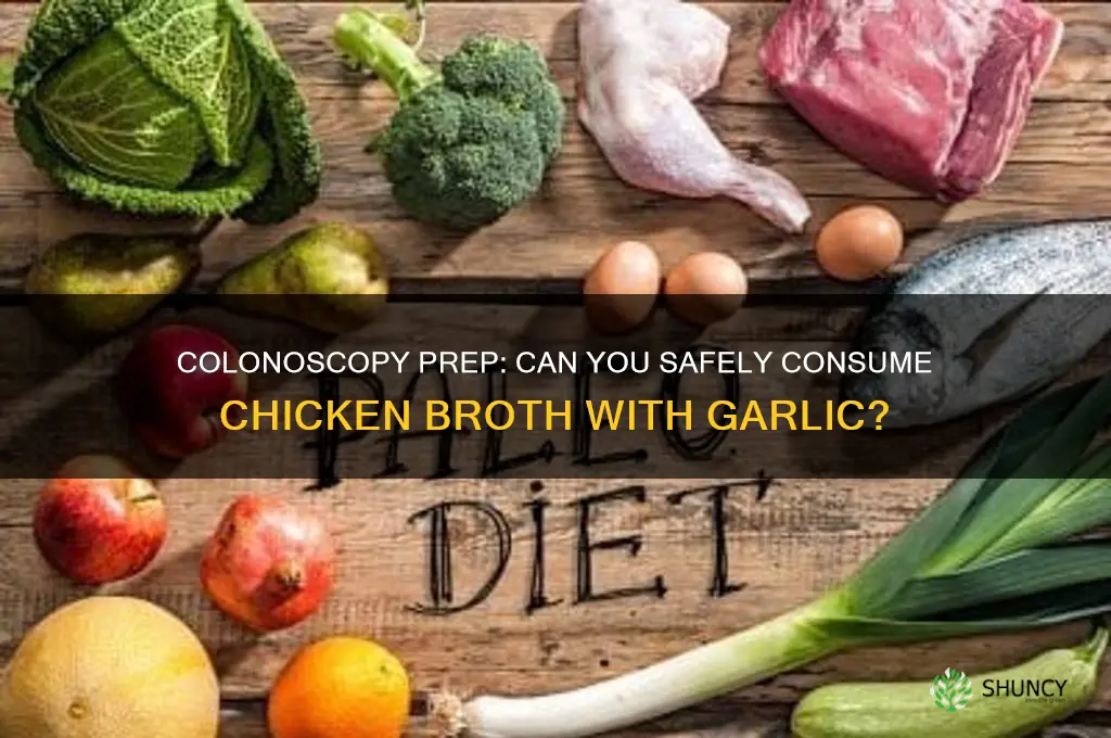 Colonoscopy Prep: Can You Safely Consume Chicken Broth With Garlic ...