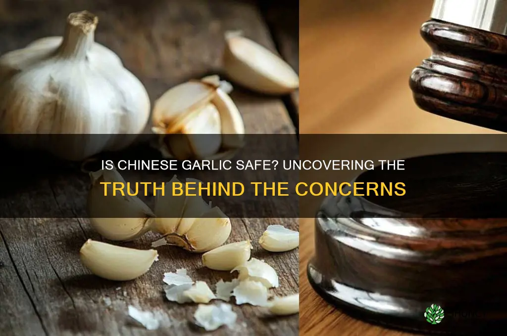 Is Chinese Garlic Safe? Uncovering The Truth Behind The Concerns | ShunCy