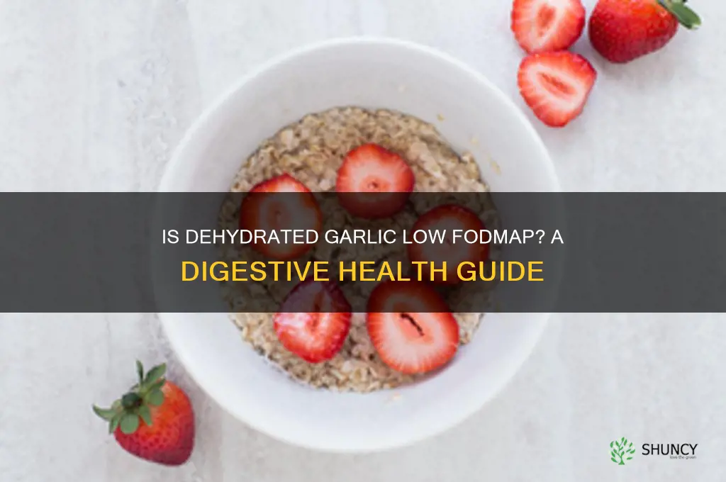 Is Dehydrated Garlic Low Fodmap? A Digestive Health Guide | ShunCy