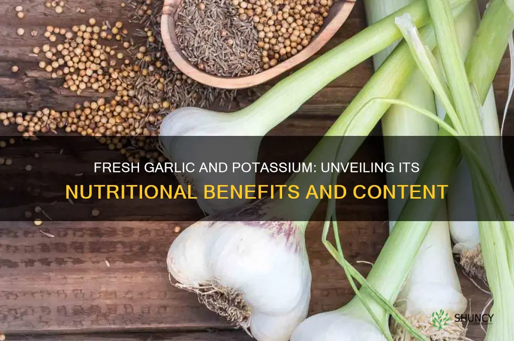 Fresh Garlic And Potassium: Unveiling Its Nutritional Benefits And ...