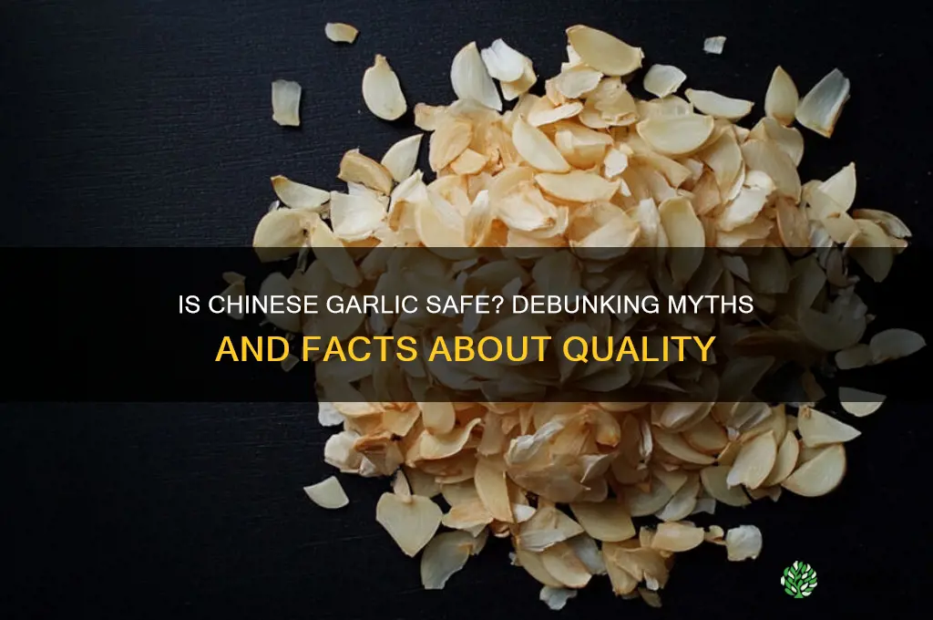 Is Chinese Garlic Safe? Debunking Myths And Facts About Quality | ShunCy