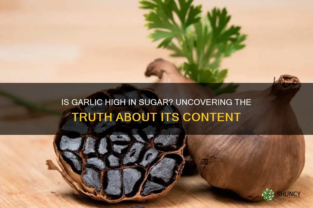 Is Garlic High In Sugar? Uncovering The Truth About Its Content | ShunCy