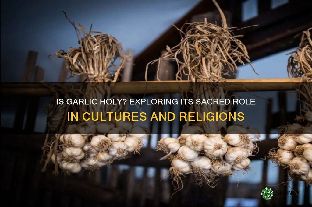 Is Garlic Holy? Exploring Its Sacred Role In Cultures And Religions ...