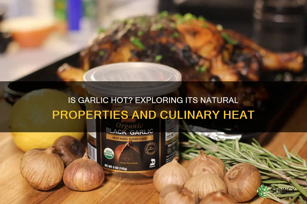 Is Garlic Hot? Exploring Its Natural Properties And Culinary Heat | ShunCy