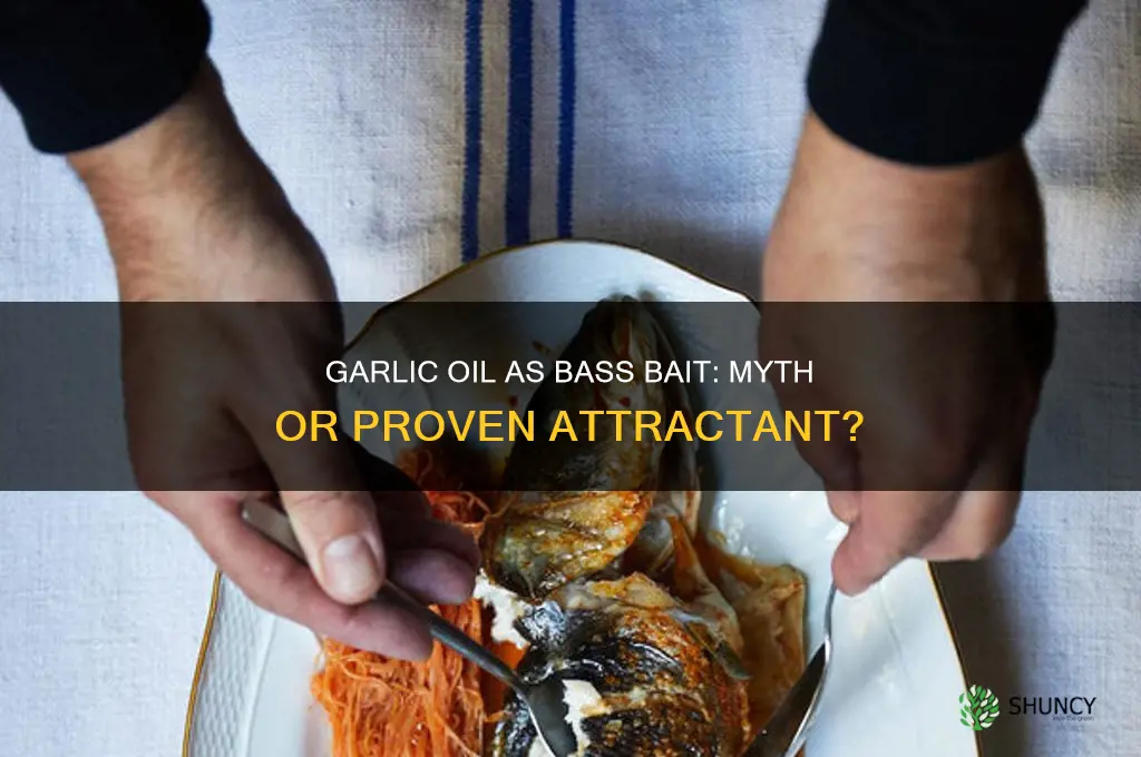 Garlic Oil As Bass Bait: Myth Or Proven Attractant? | ShunCy
