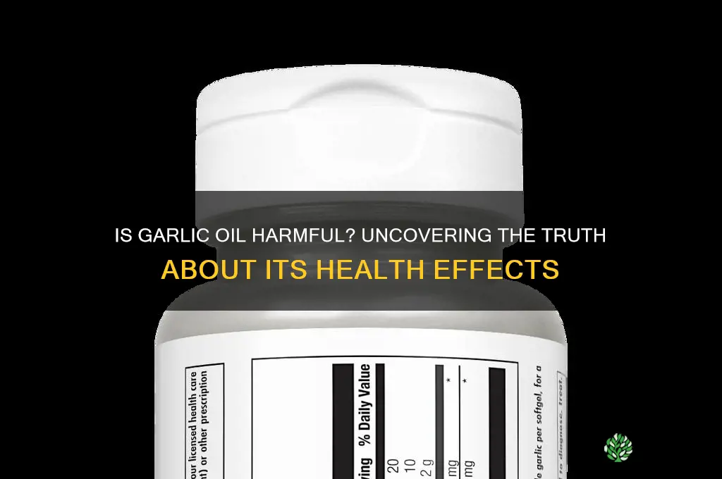 Is Garlic Oil Harmful? Uncovering The Truth About Its Health Effects ...