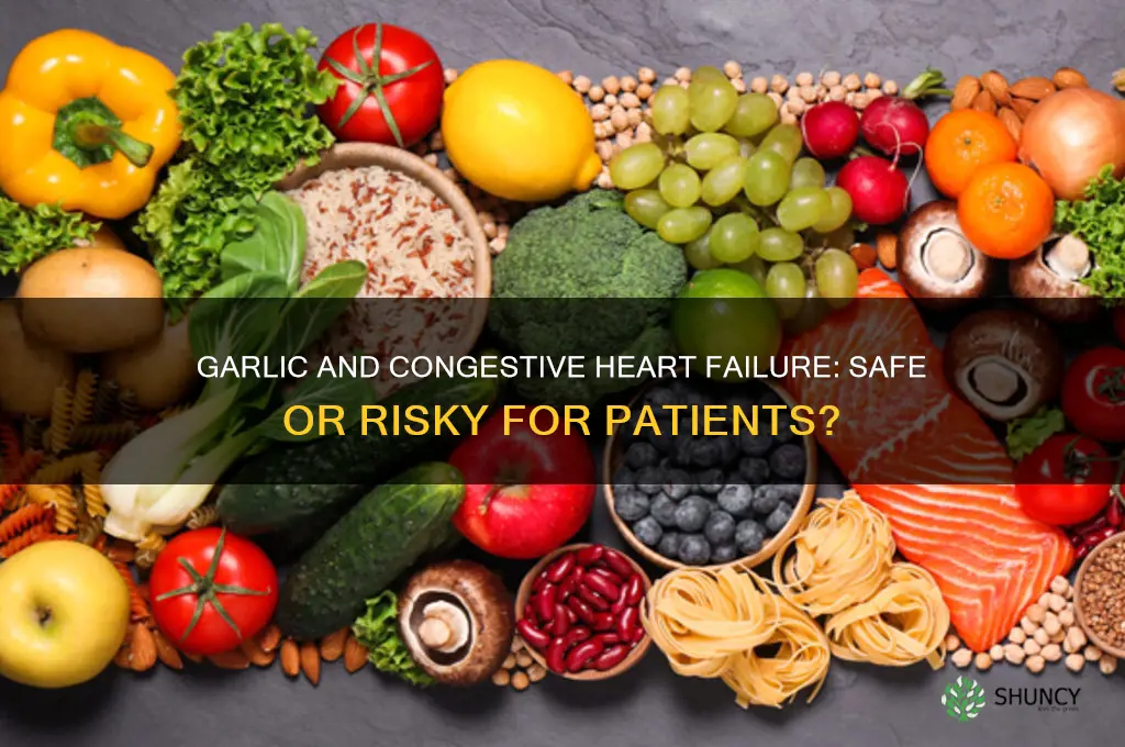 Garlic And Congestive Heart Failure: Safe Or Risky For Patients? | ShunCy