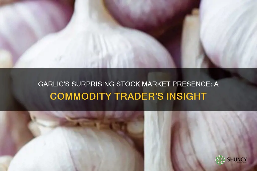 Garlic's Surprising Stock Market Presence: A Commodity Trader's Insight ...