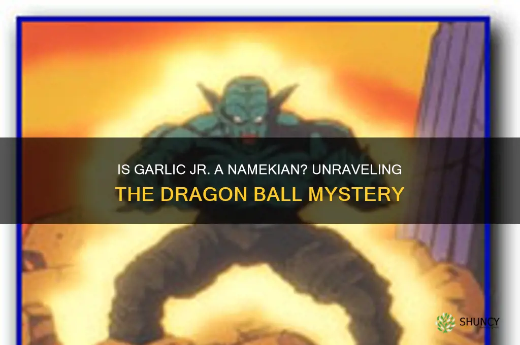 Is Garlic Jr. A Namekian? Unraveling The Dragon Ball Mystery | ShunCy