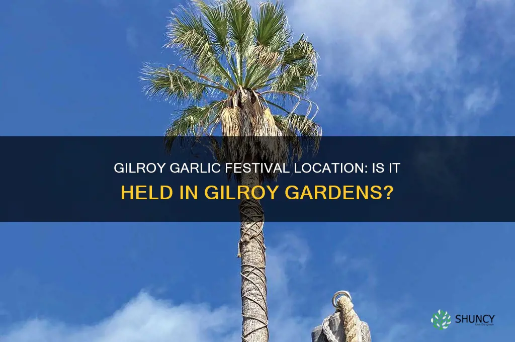 Gilroy Garlic Festival Location: Is It Held In Gilroy Gardens? | ShunCy