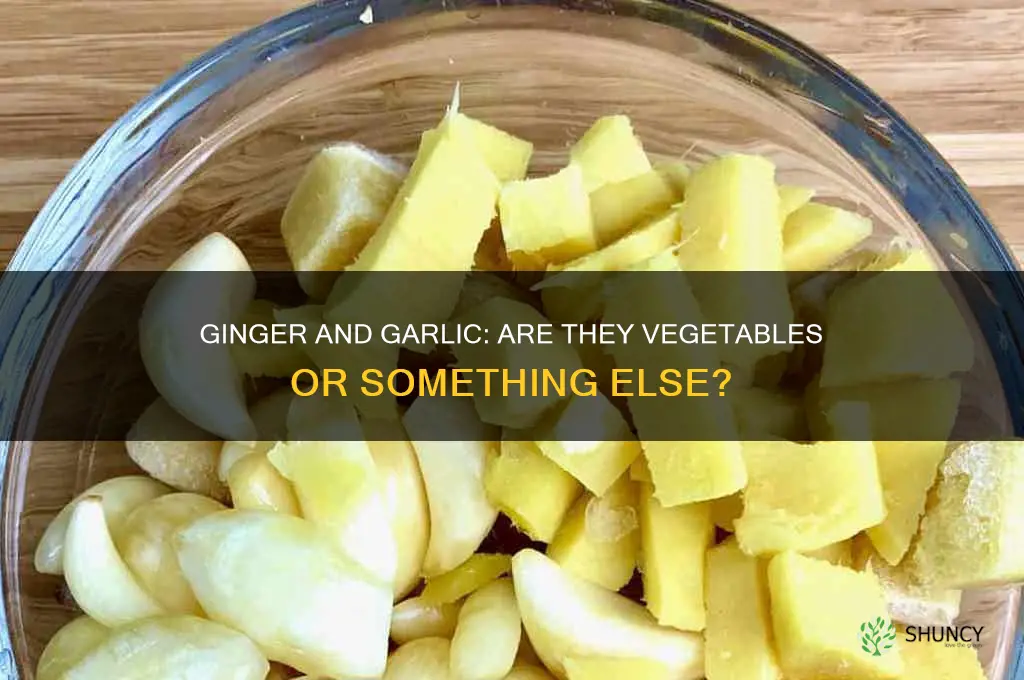 Ginger And Garlic: Are They Vegetables Or Something Else? | ShunCy