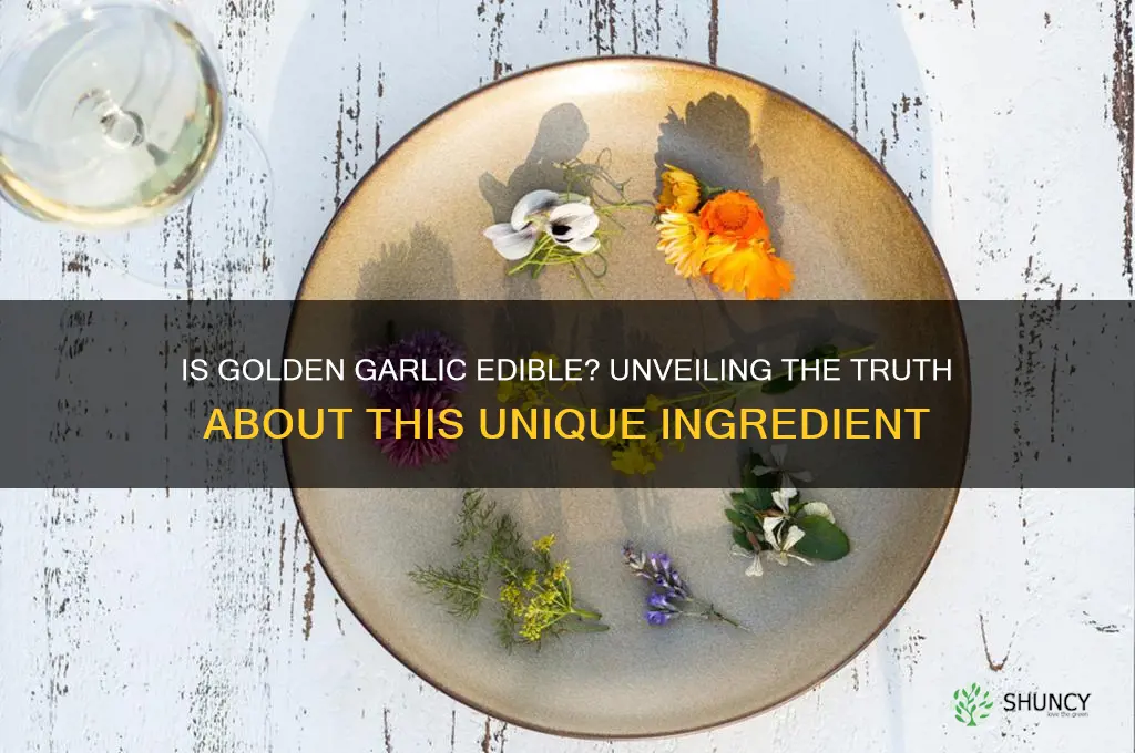 Is Golden Garlic Edible? Unveiling The Truth About This Unique ...