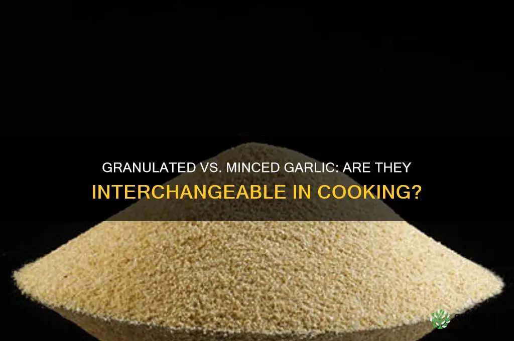 Granulated Vs. Minced Garlic: Are They Interchangeable In Cooking? | ShunCy