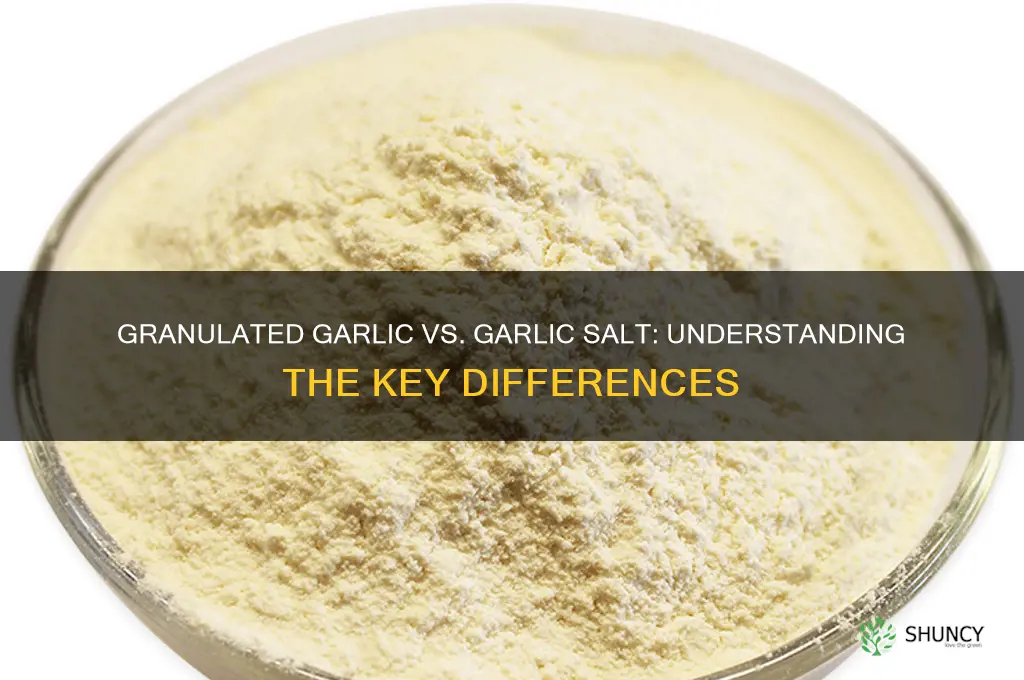 Granulated Garlic Vs. Garlic Salt: Understanding The Key Differences ...