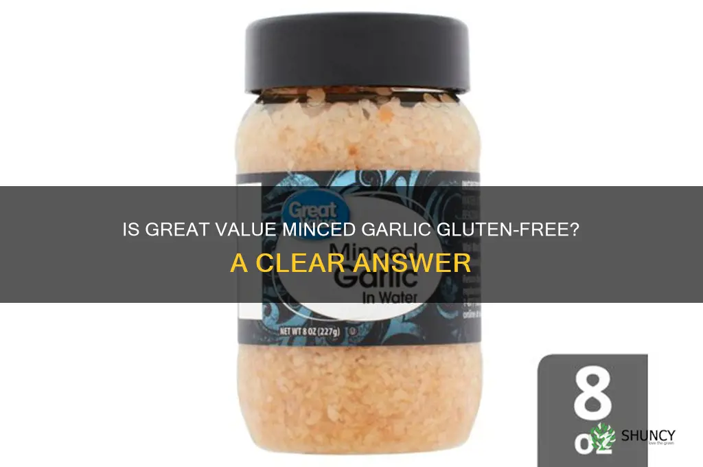 Is Great Value Minced Garlic Gluten-Free? A Clear Answer | ShunCy