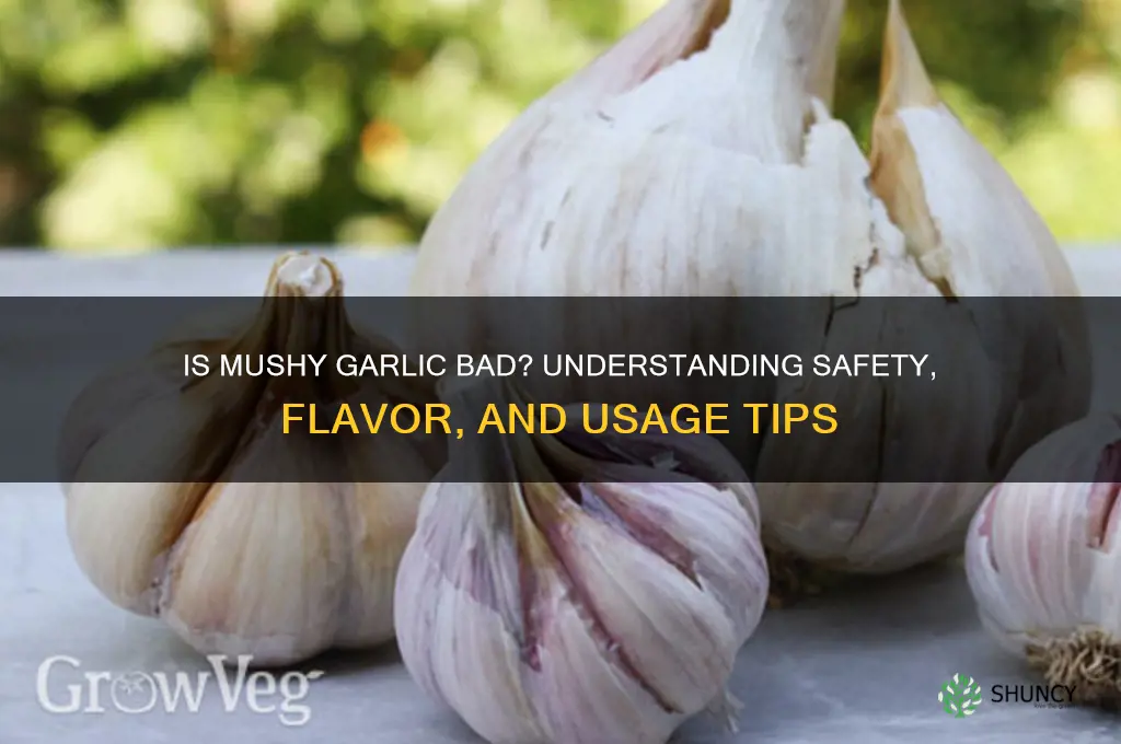 Is Mushy Garlic Bad? Understanding Safety, Flavor, And Usage Tips | ShunCy