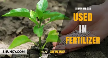 Exploring The Role Of Oil In Modern Fertilizer Production | ShunCy