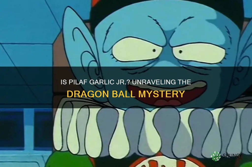 Is Pilaf Garlic Jr.? Unraveling The Dragon Ball Mystery | ShunCy