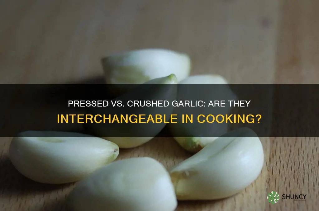 Pressed Vs. Crushed Garlic: Are They Interchangeable In Cooking? | ShunCy