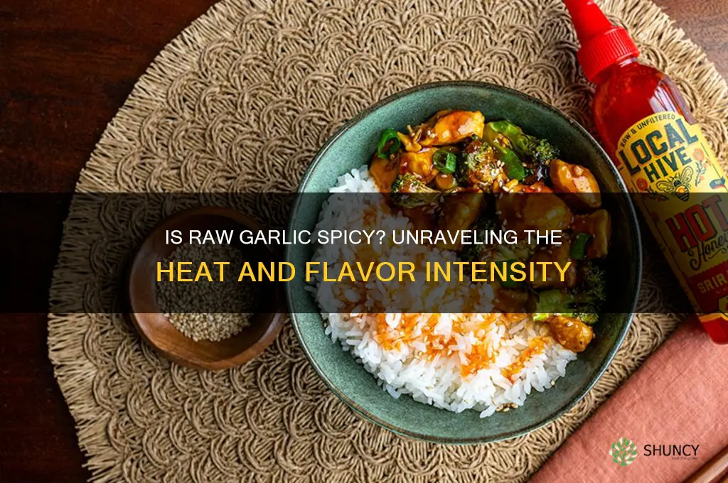 Is Raw Garlic Spicy? Unraveling The Heat And Flavor Intensity | ShunCy