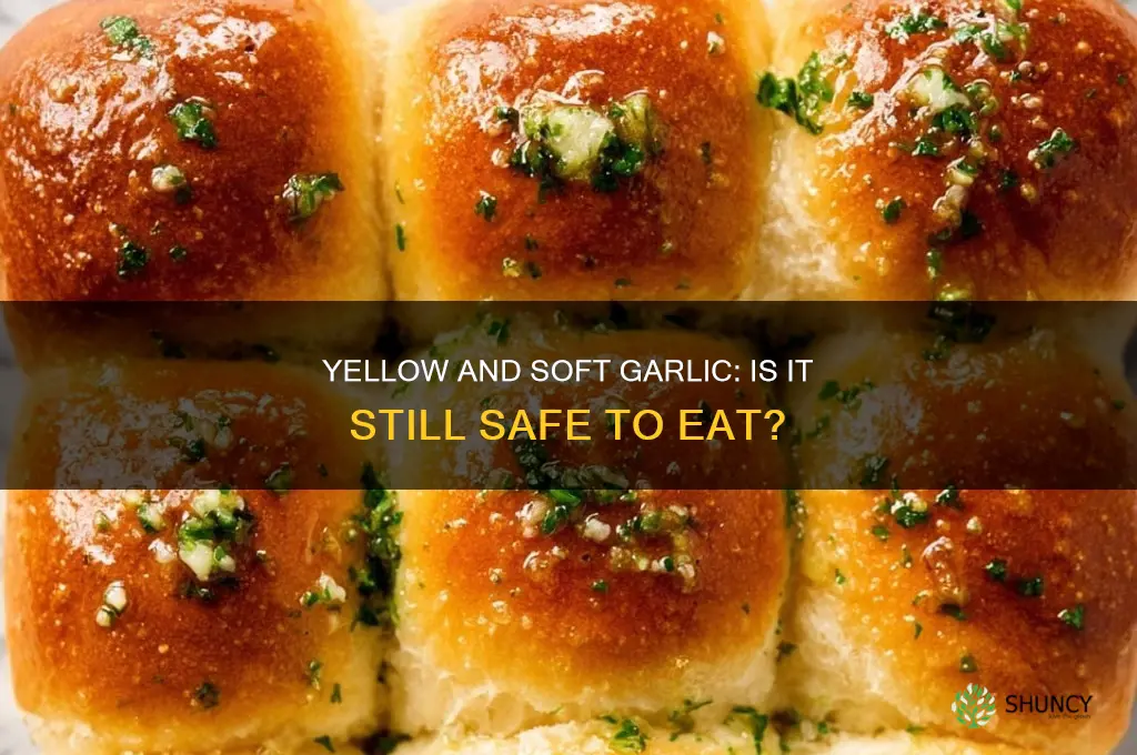 Yellow And Soft Garlic: Is It Still Safe To Eat? | ShunCy