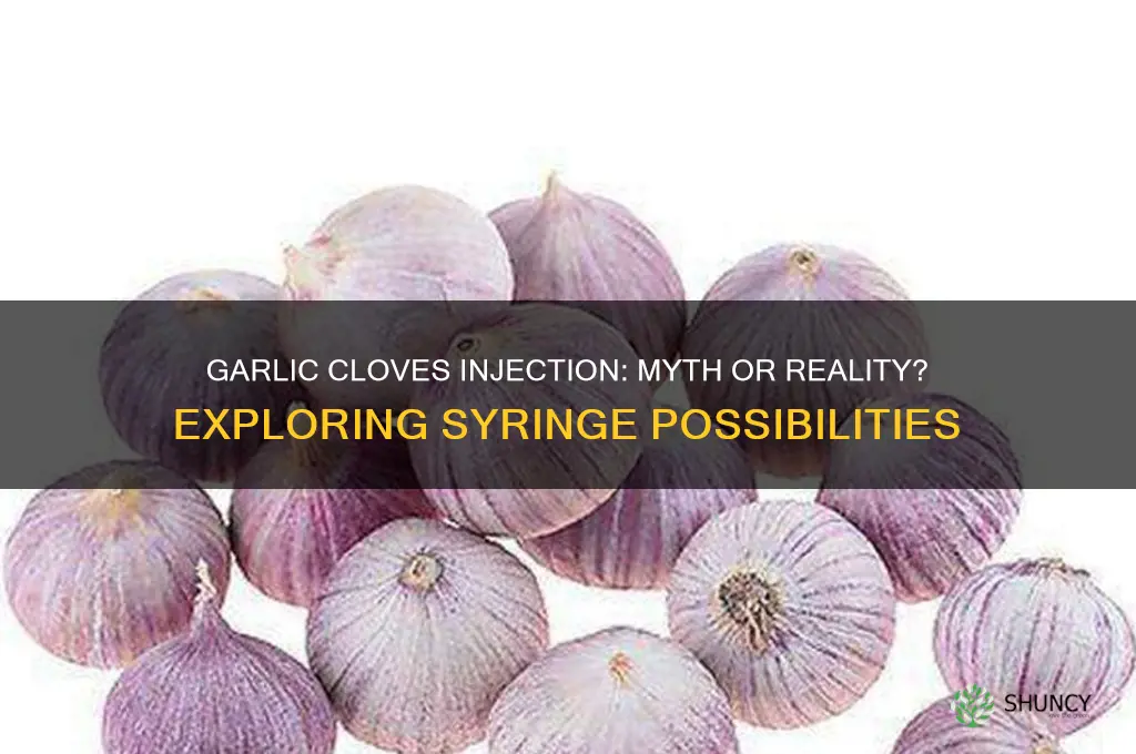 Garlic Cloves Injection: Myth Or Reality? Exploring Syringe ...