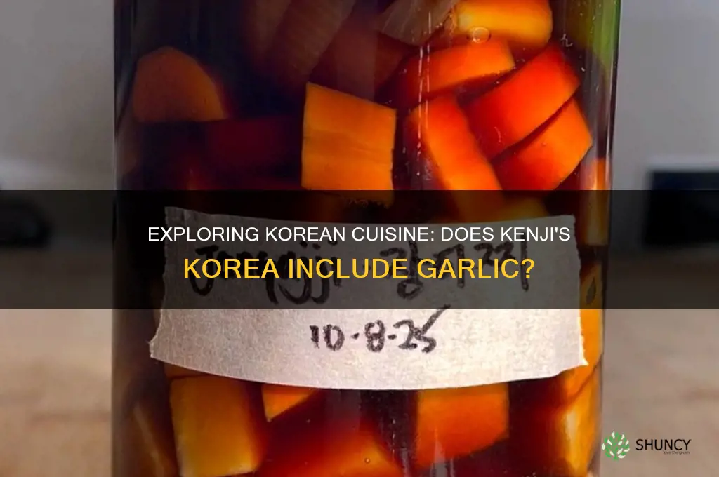 Exploring Korean Cuisine: Does Kenji's Korea Include Garlic? | ShunCy