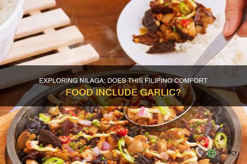 Exploring Nilaga: Does This Filipino Comfort Food Include Garlic? | ShunCy
