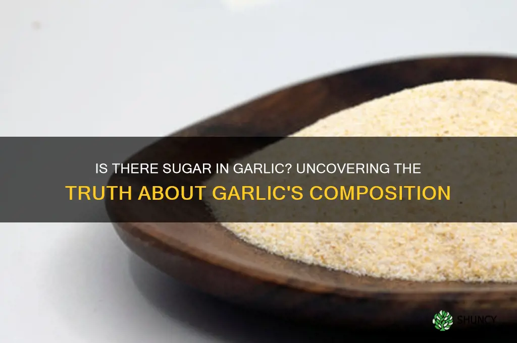 Is There Sugar In Garlic? Uncovering The Truth About Garlic's ...