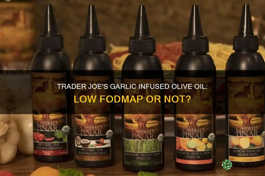 Low Fodmap Trader Joe S