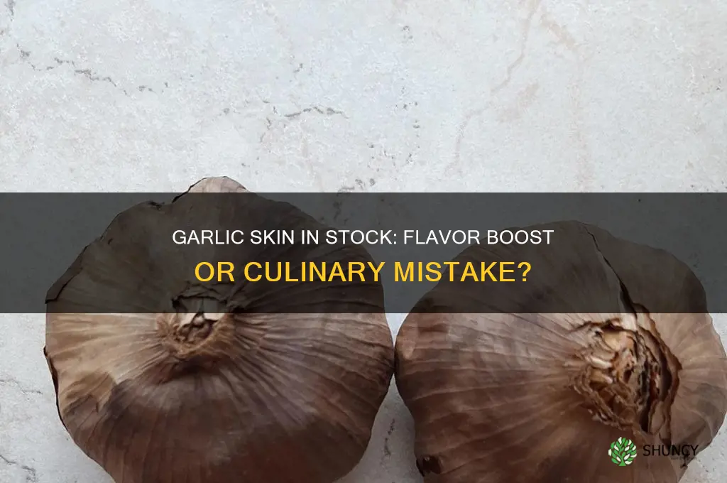 Garlic Skin In Stock: Flavor Boost Or Culinary Mistake? | ShunCy