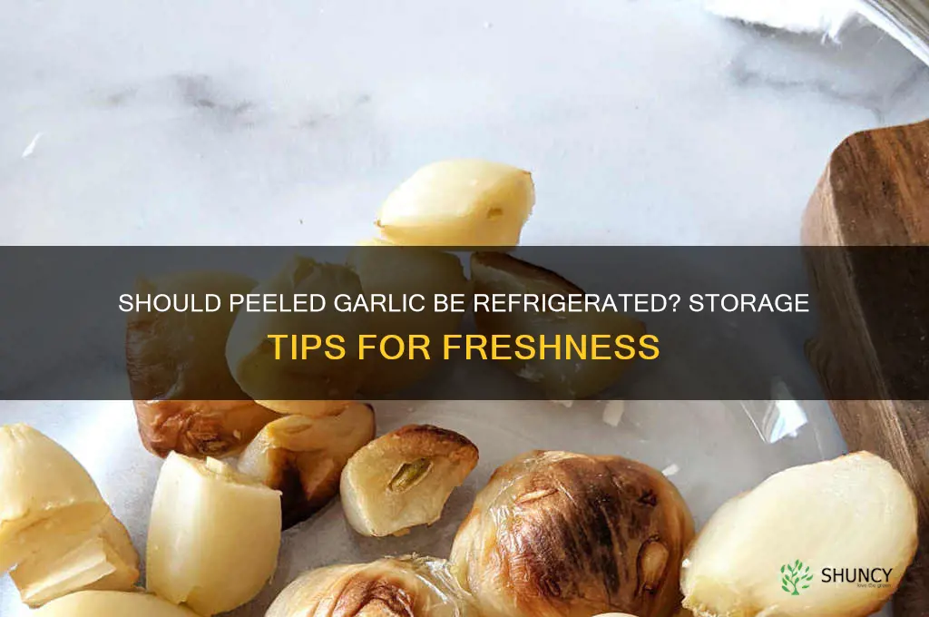 Should Peeled Garlic Be Refrigerated? Storage Tips For Freshness | ShunCy