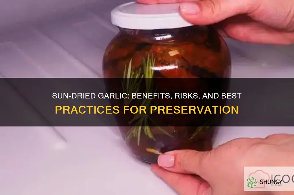 Sun-Dried Garlic: Benefits, Risks, And Best Practices For Preservation ...
