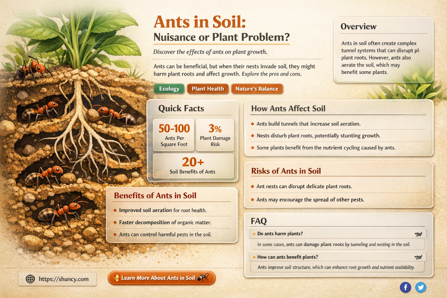 Ants In Soil: Nuisance Or Plant Problem? | ShunCy