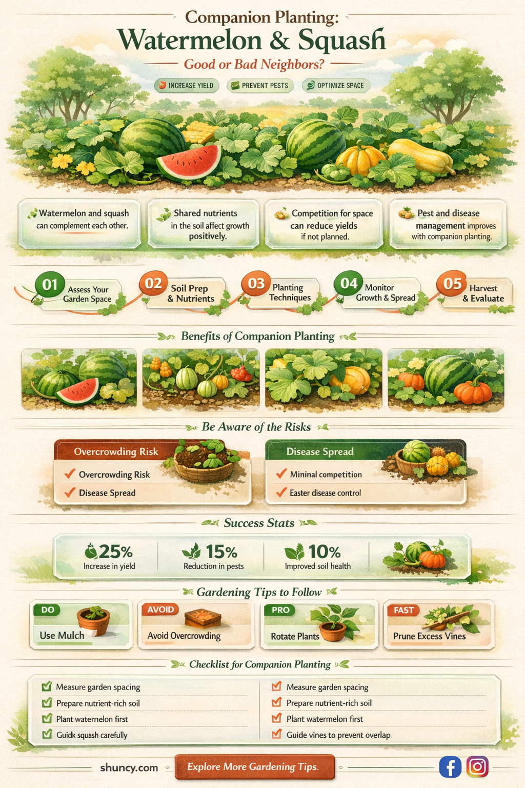 Companion Planting: Watermelon And Squash, Good Or Bad Neighbors? | ShunCy